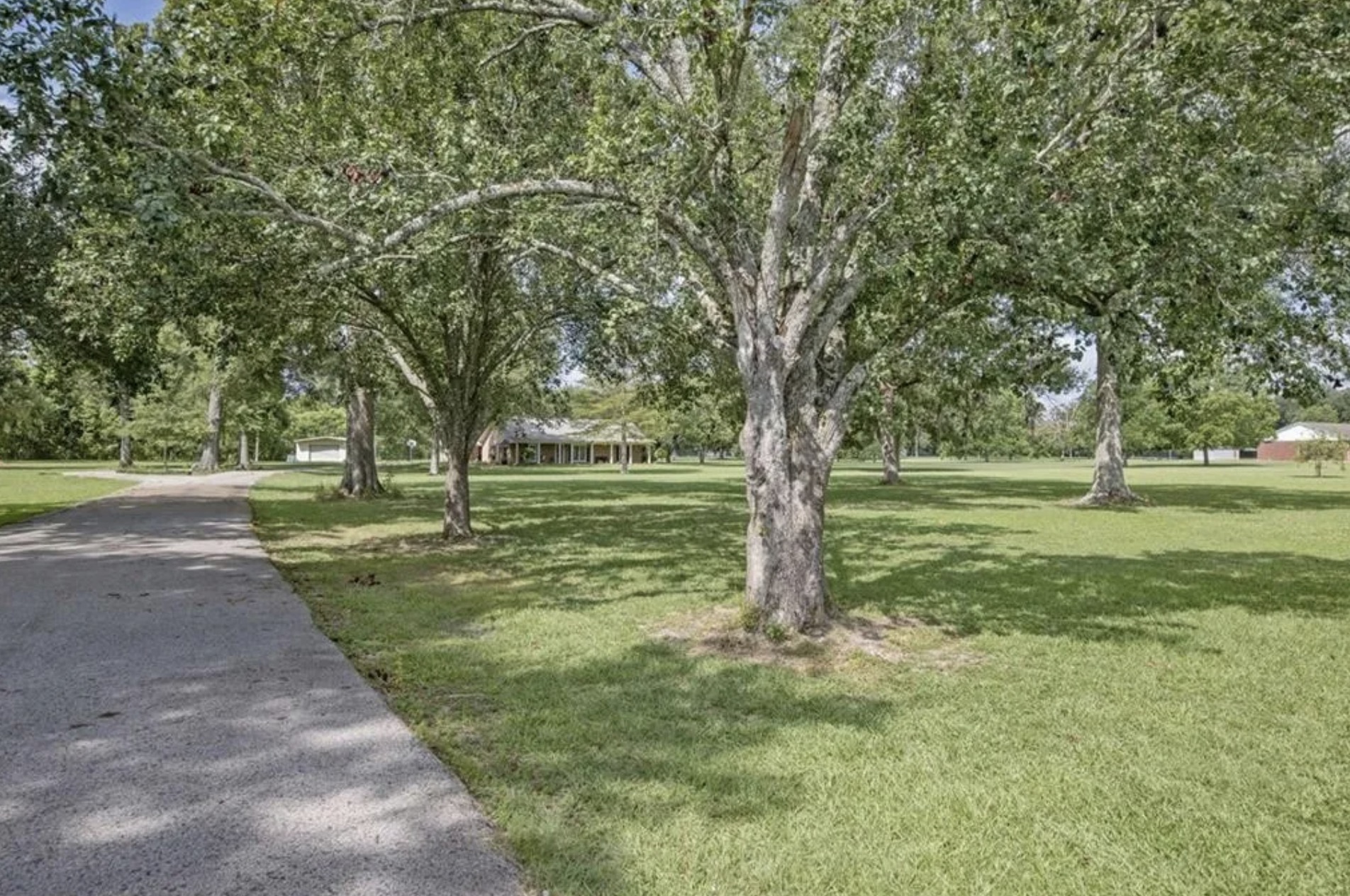 Home and 6± Acres - HWY 1, Marksville, LA